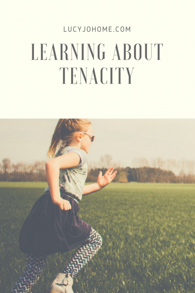 Learning about Tenacity - Lucy Jo Home